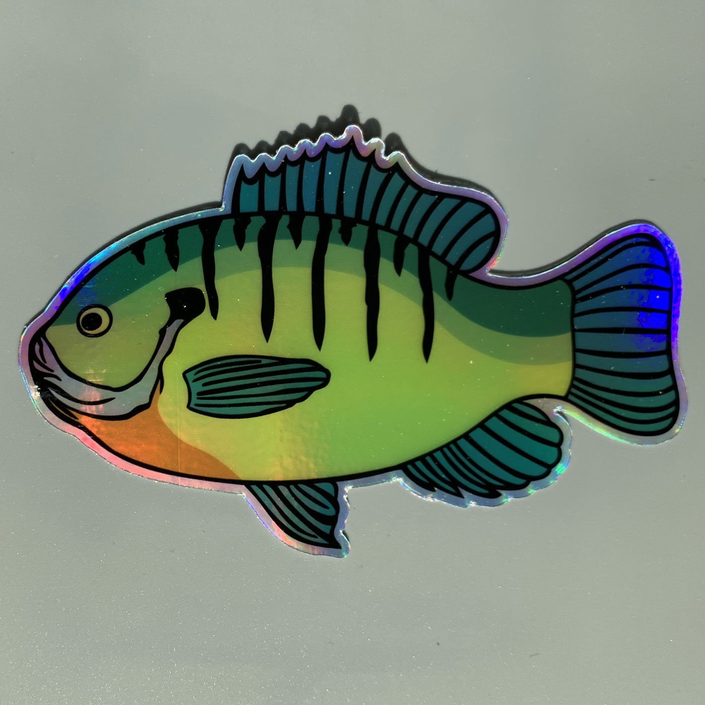 Holographic Bluegill Sticker Fishing Sticker Perfect for - Etsy