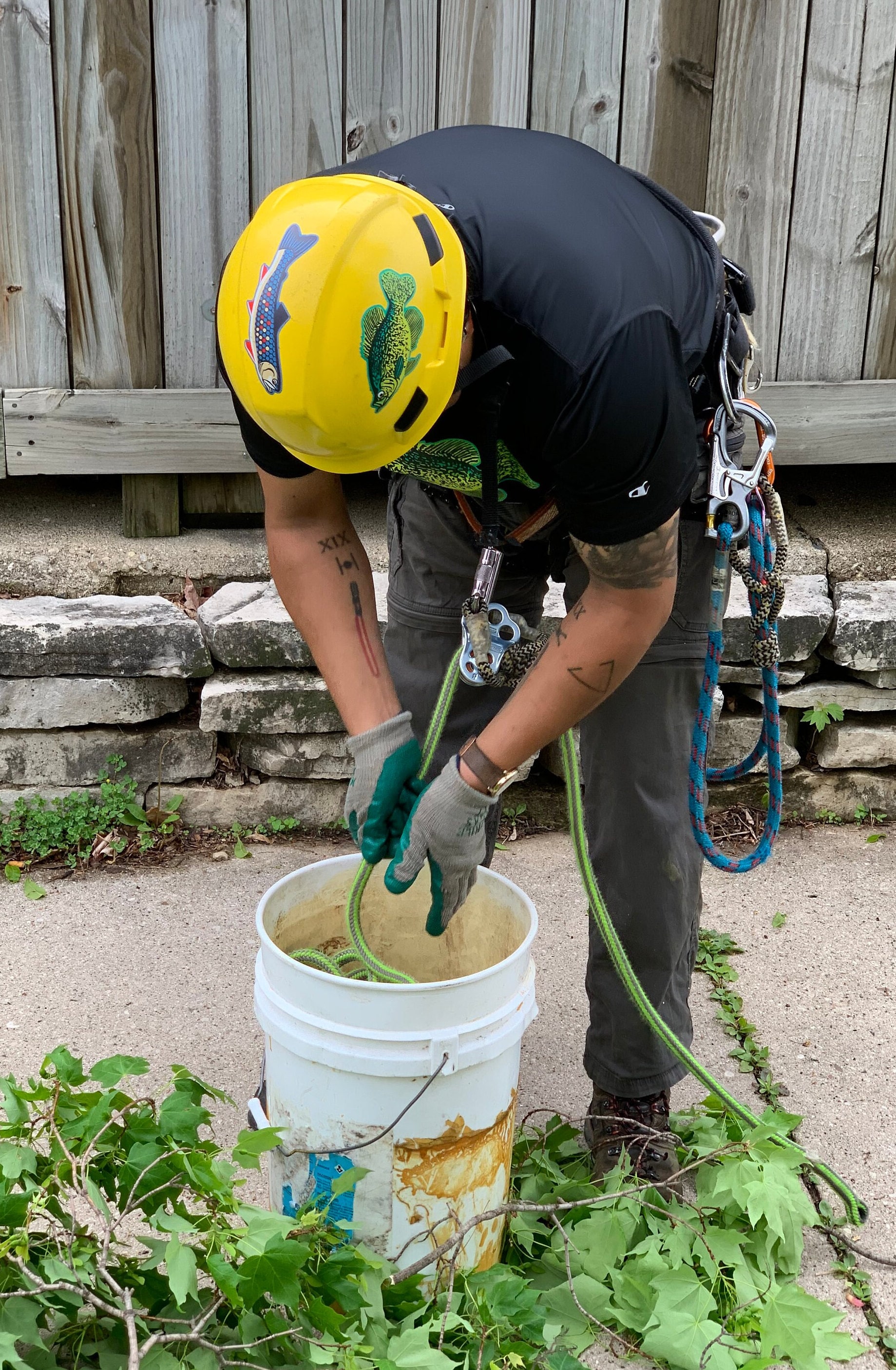 Crappie Sticker High-quality, Durable Freshwater Fish Fishing Decal for ...