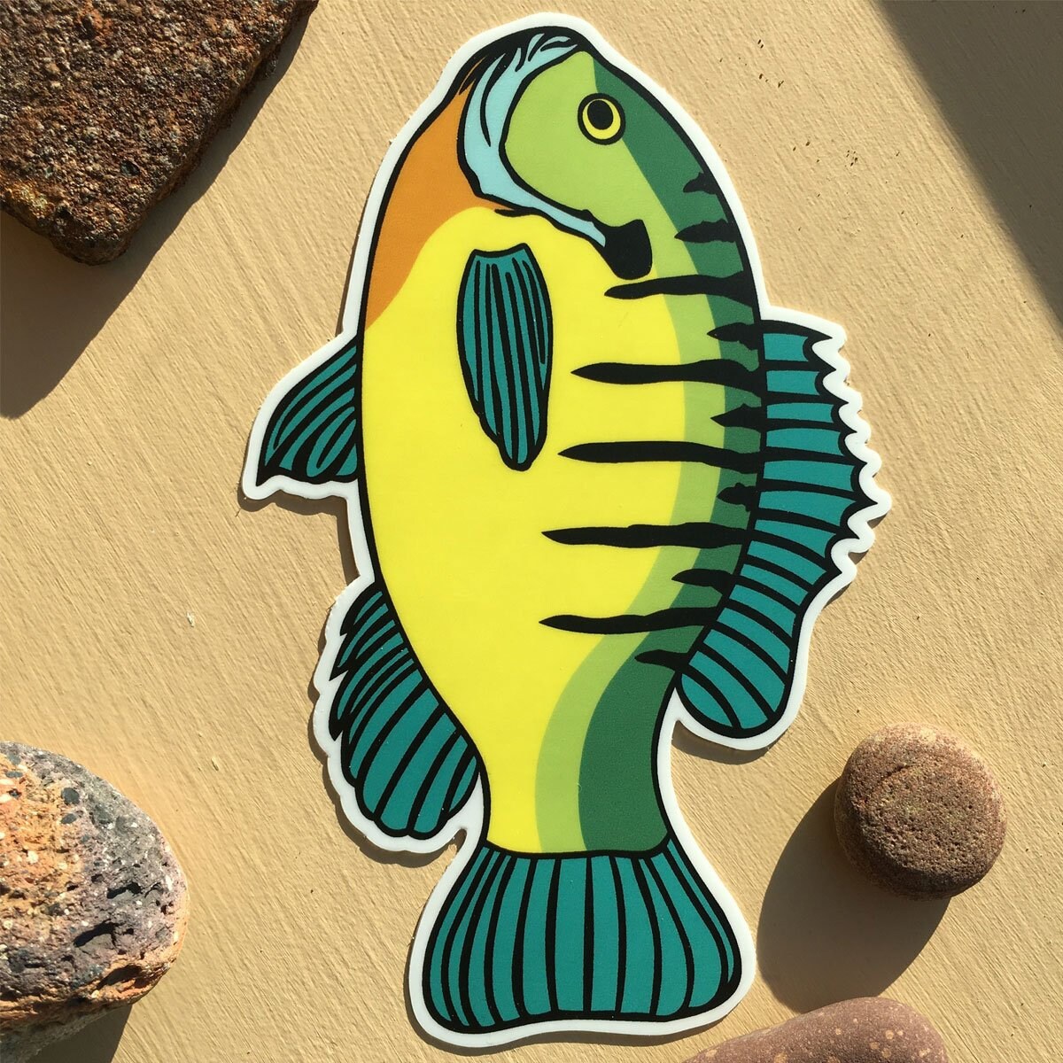 Bluegill Sticker Sunfish Sticker High-quality Fishing - Etsy