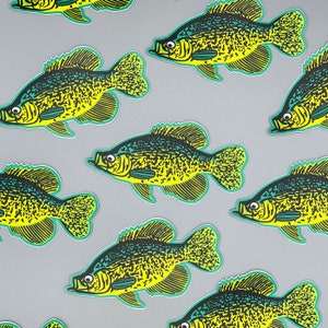 Crappie Sticker High-quality, Durable Freshwater Fish Fishing Decal for ...