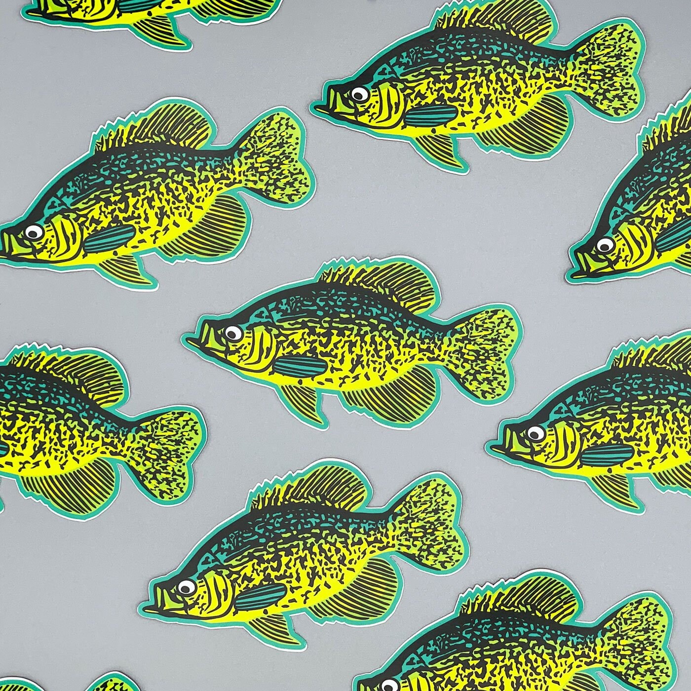 Crappie Sticker High-quality, Durable Freshwater Fish Fishing Decal for ...