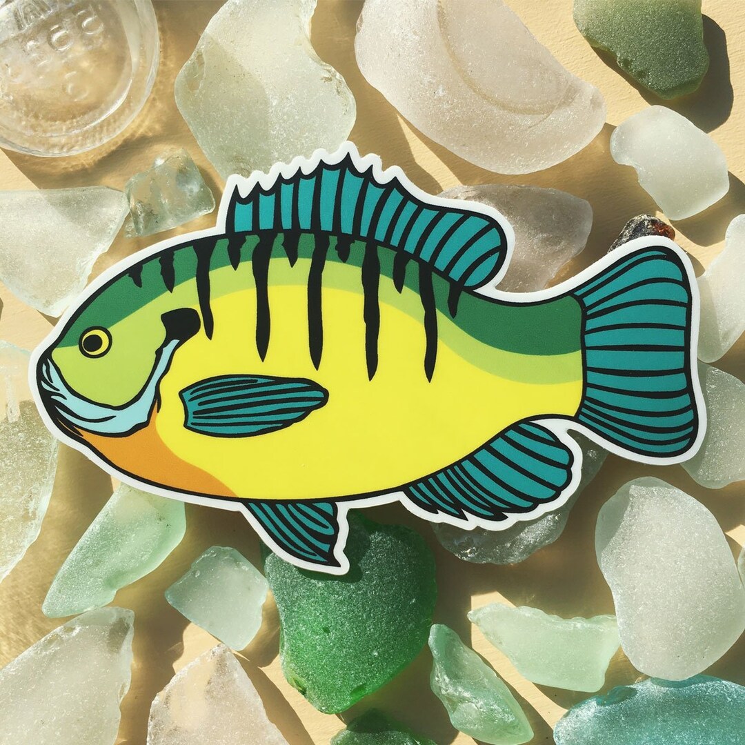 Bluegill Sticker - Sunfish Sticker - High-quality Fishing Sticker, Boat ...
