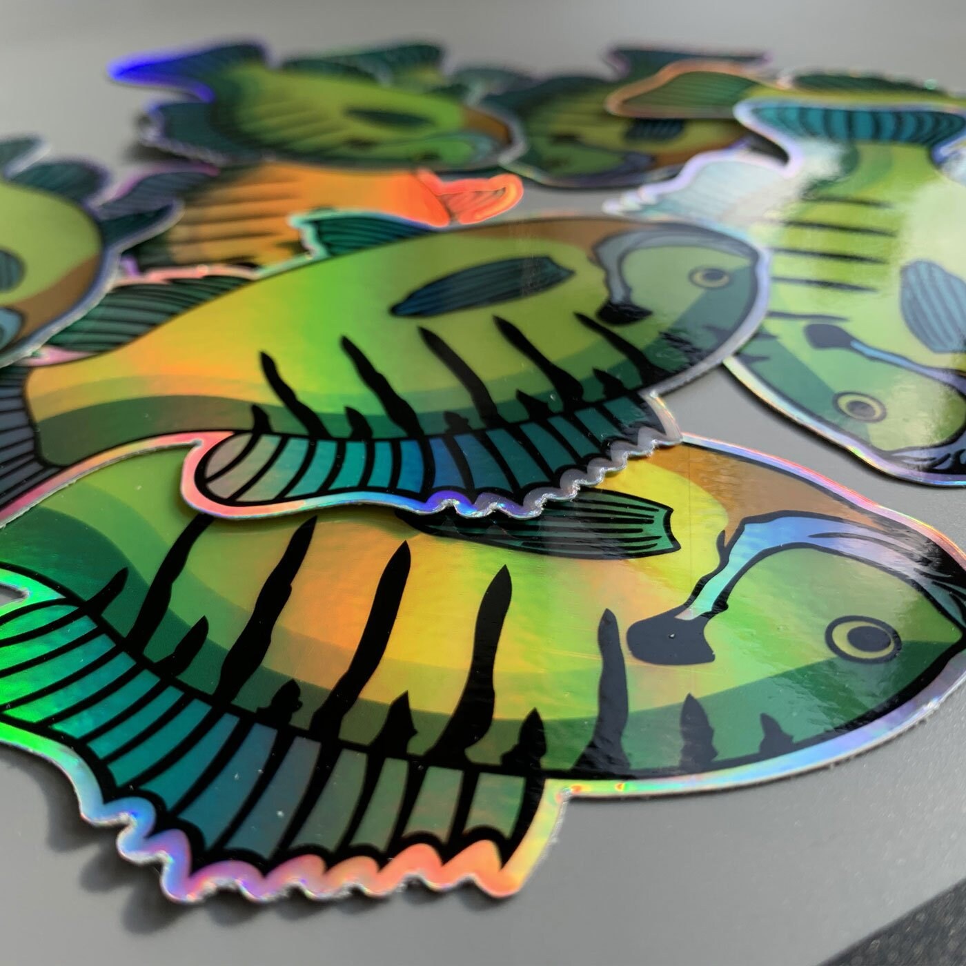Holographic Bluegill Sticker Fishing Sticker Perfect for Boats, Tackle ...