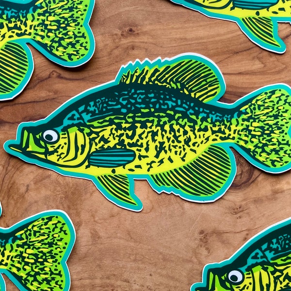 Freshwater Fish Decals - Etsy