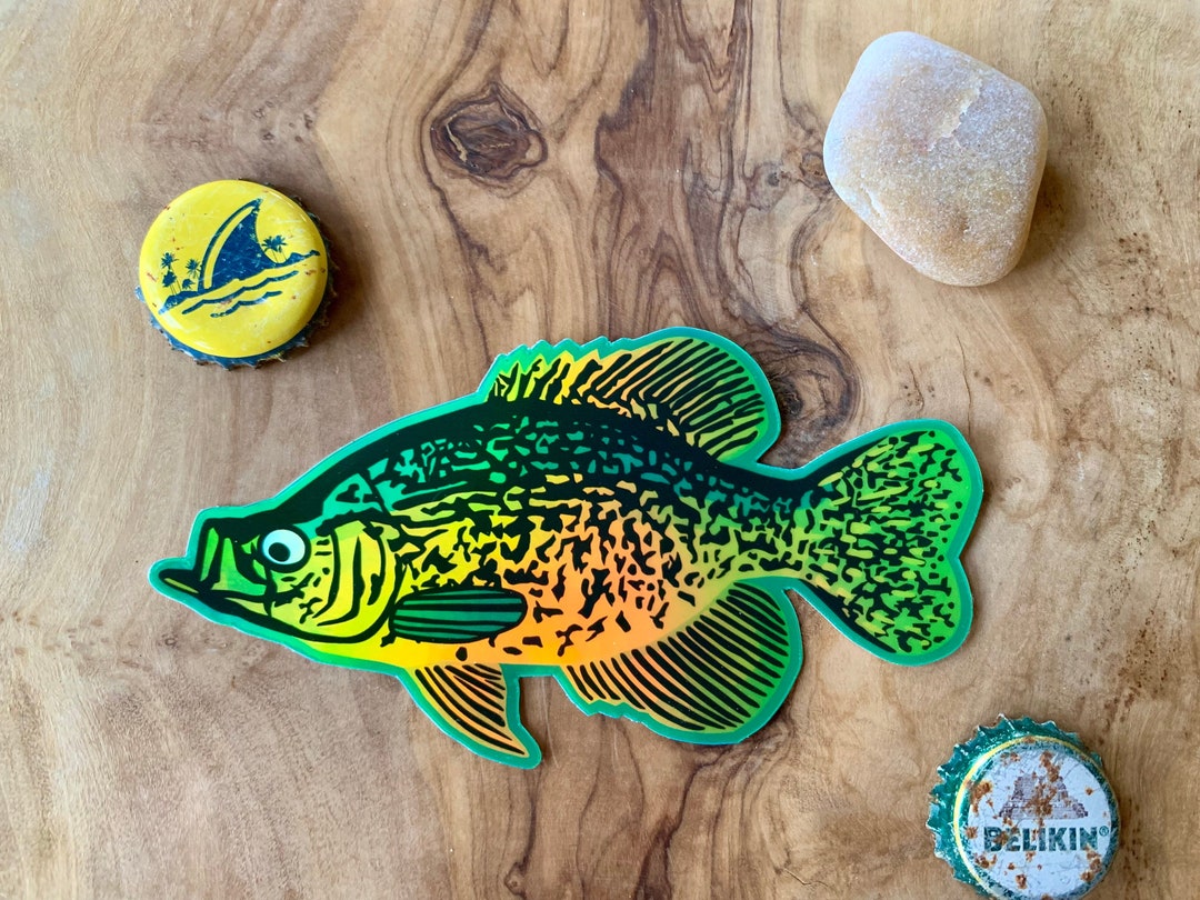 Holographic Crappie Sticker - Die-cut, Waterproof, High-quality Fishing ...