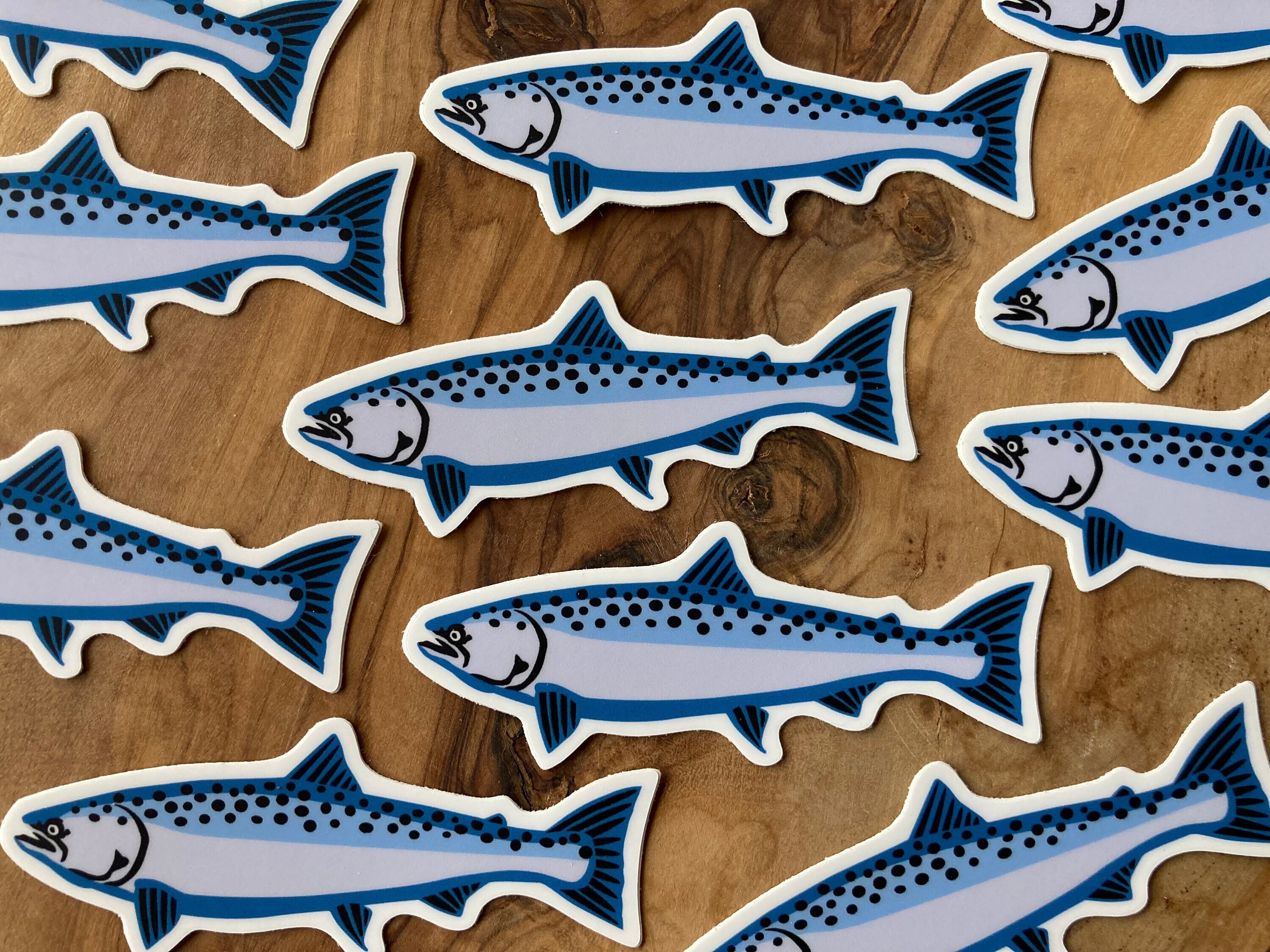 Mini King Salmon Sticker - Chinook, Atlantic Salmon Decal for Lures ...