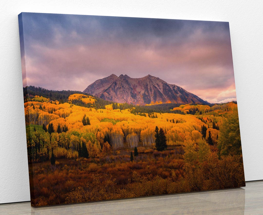 Colorado Fall Aspen Print, Kebler Pass Autumn Landscape Photography ...