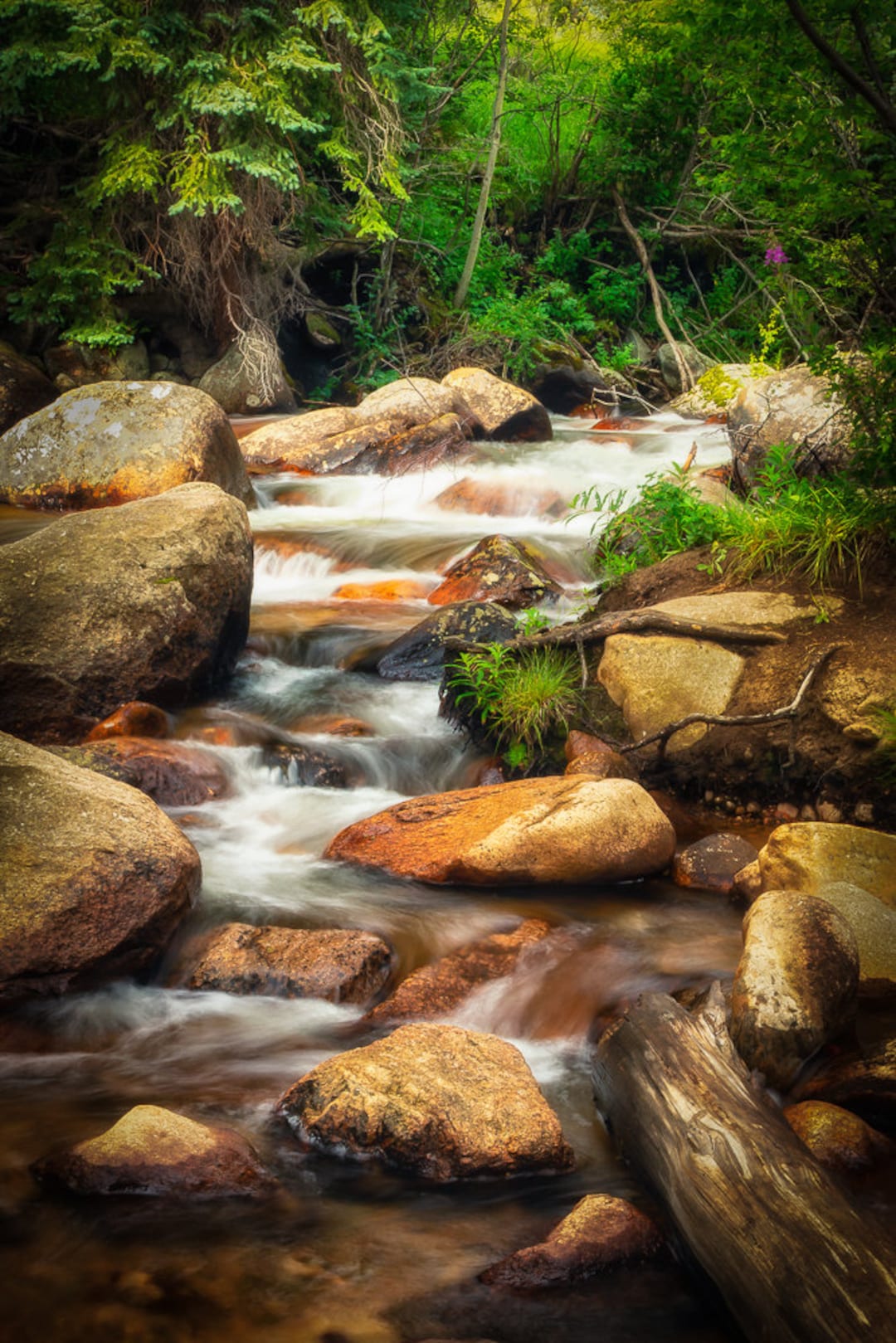 Mountain Stream Metal or Acrylic Photo Vertical Print, Rocky Mountain ...