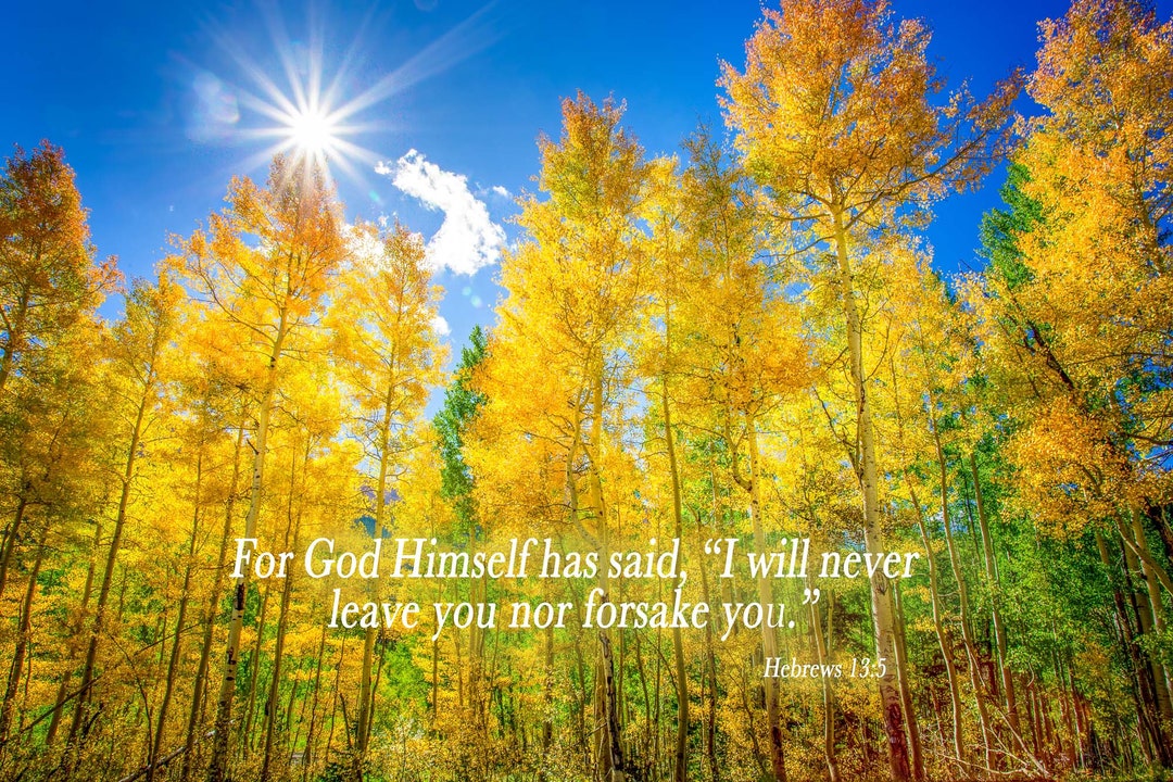Hebrews 13:5 God Will Never Leave You nor Forsake You, Christian ...