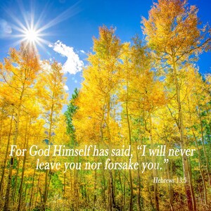 Hebrews 13:5 God Will Never Leave You Nor Forsake You, Christian ...