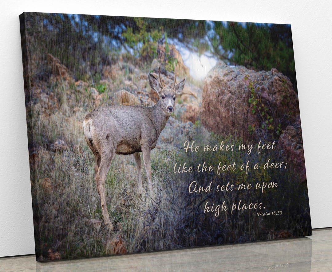 Deer Scripture Inspirational Art Print, Psalm 18:33, Rocky Mountain ...
