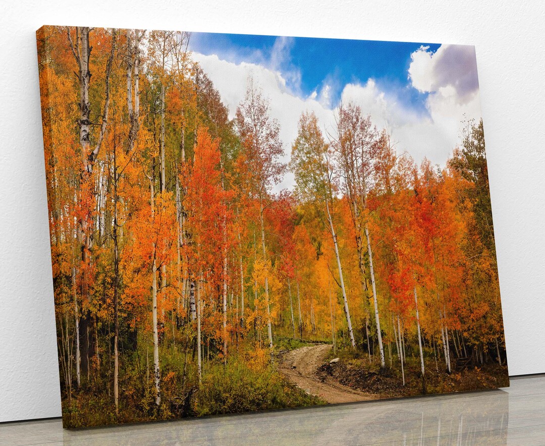 Red Aspen Trees Colorado Autumn Forest Print, Fall Colors Photo Canvas ...
