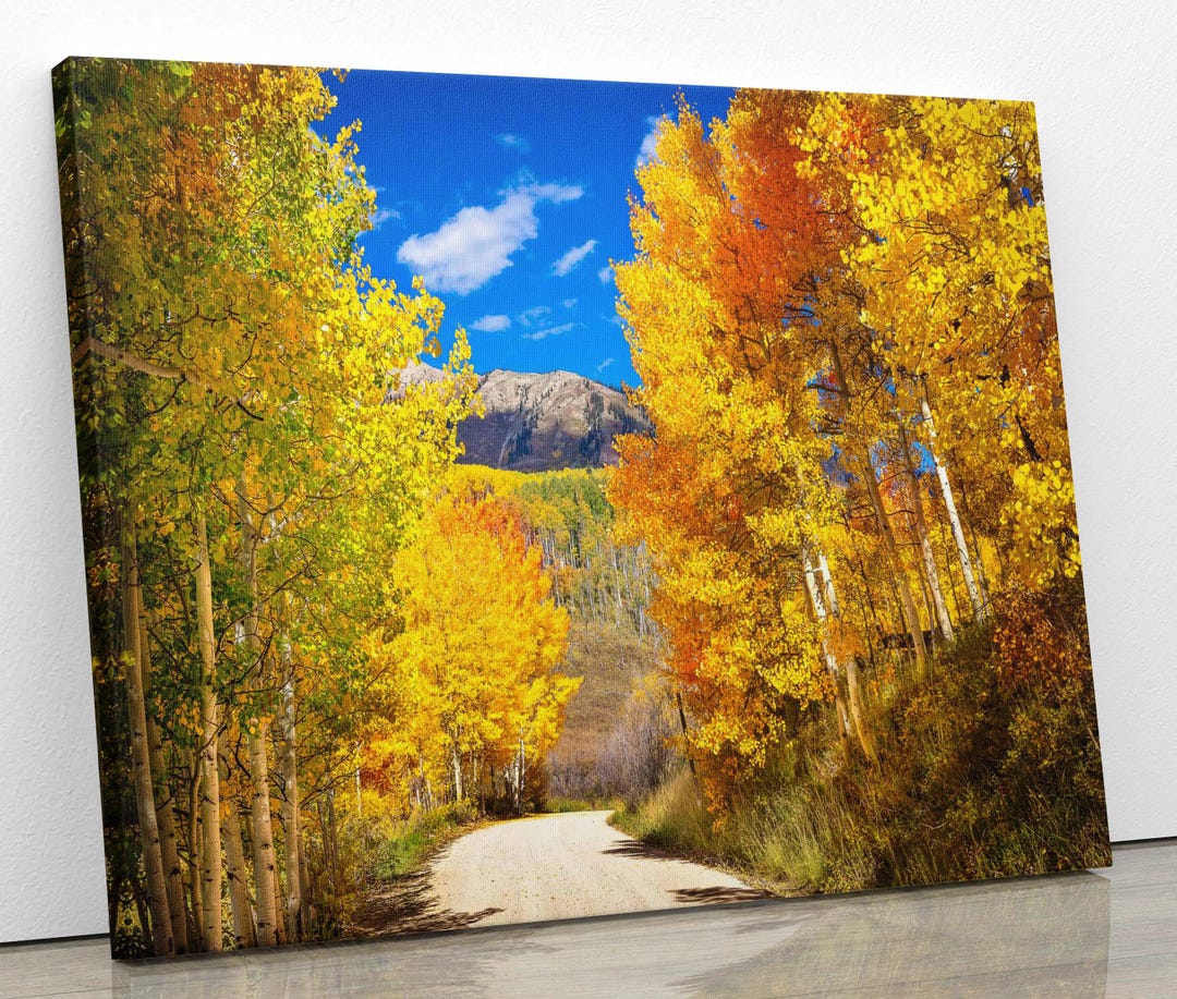 Colorado Autumn Aspen Trees Forest Print, Ohio Creek Pass Fall Colors ...