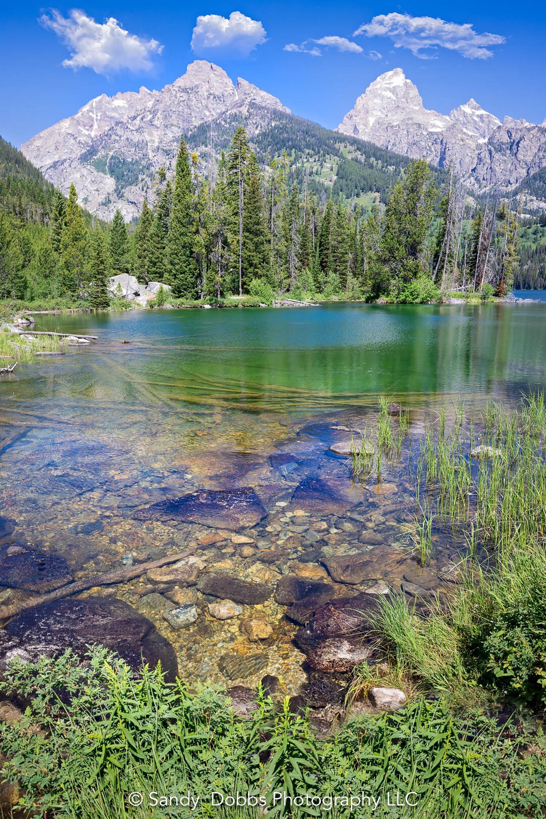 Taggart Lake Vertical Print, Grand Teton National Park, Mountain ...