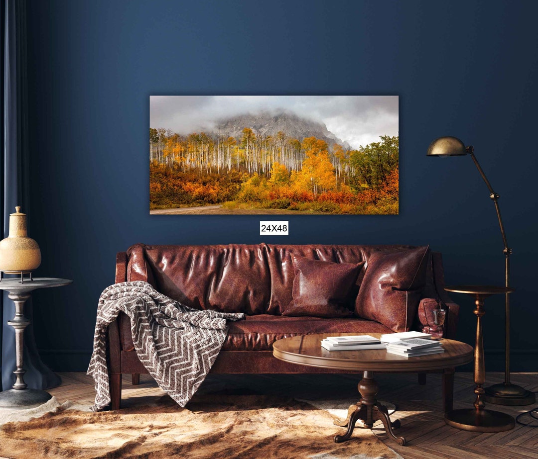 Panoramic Aspen Trees in Fall, Colorado Autumn Mountain Landscape Photo ...