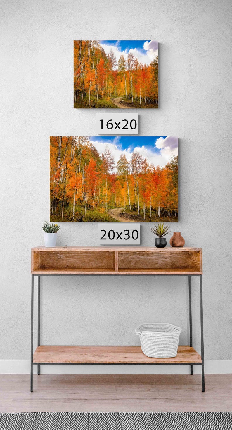 Red Aspen Trees Colorado Autumn Forest Print, Fall Colors Photo Canvas ...