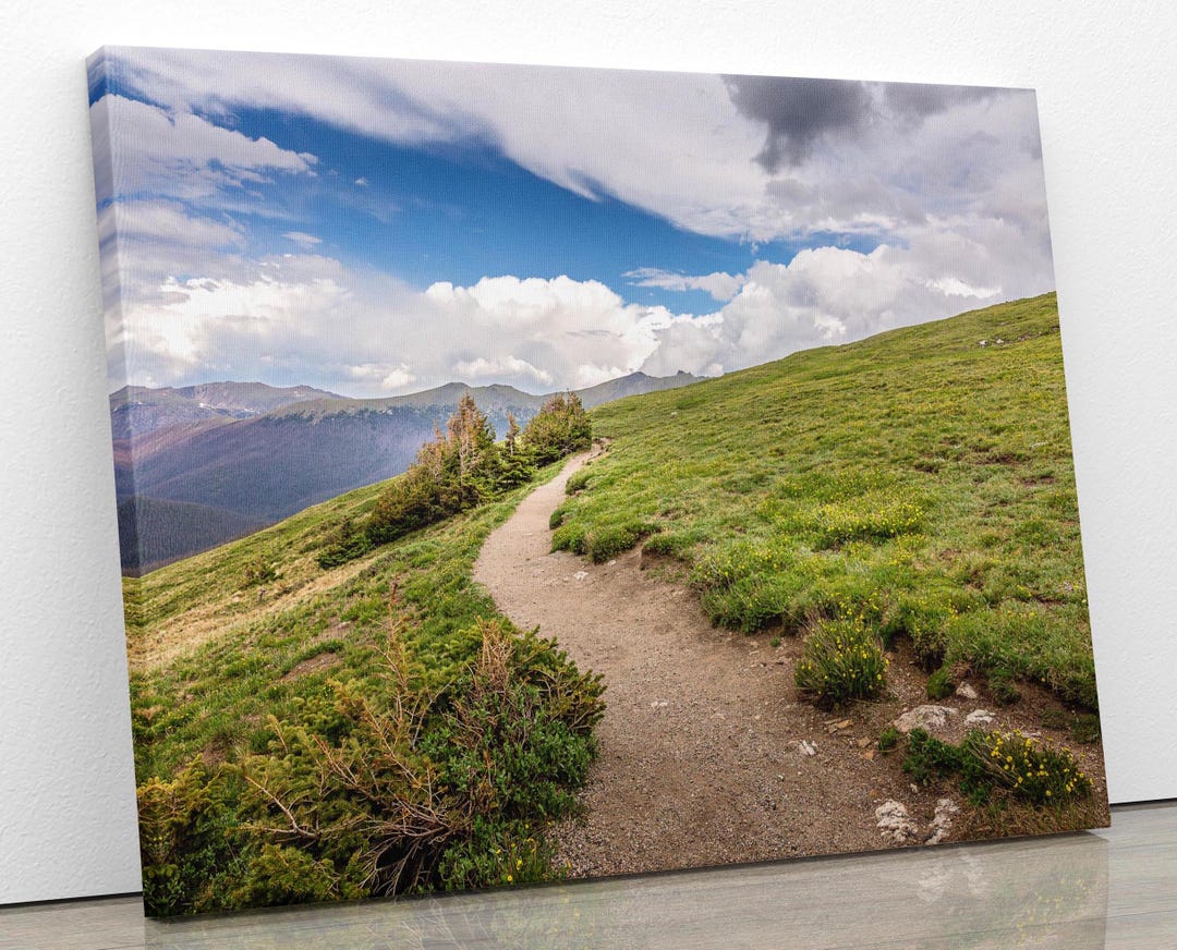 Hiking Trail on Mountain Tundra Photo Print, Rocky Mountain National ...