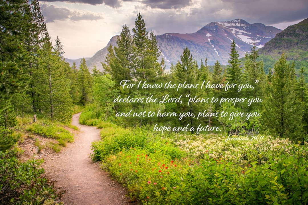 Jeremiah 29:11 Scripture Canvas, Mt Rainier Mountain Scene Bible Verse ...