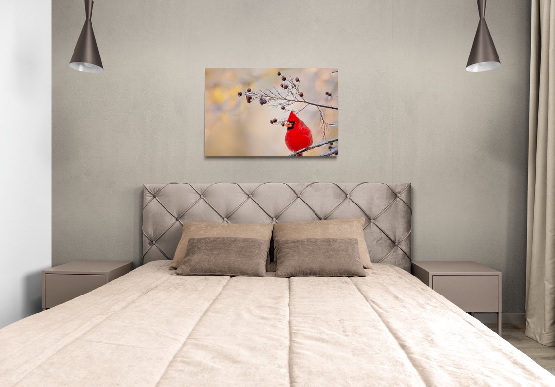 Red Cardinal Canvas Wall Art Prints Texas Birds Redbird | Etsy