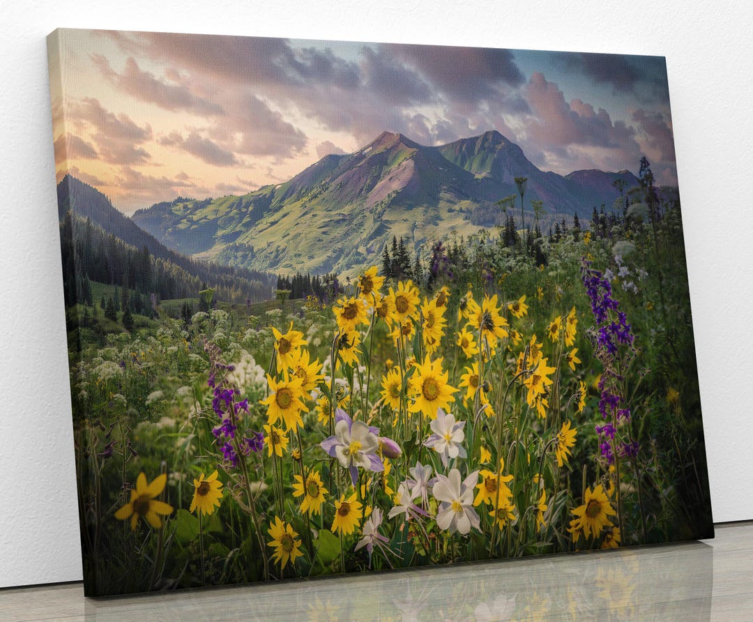 Colorado Wildflower Sunset Canvas Print: Crested Butte Landscape ...
