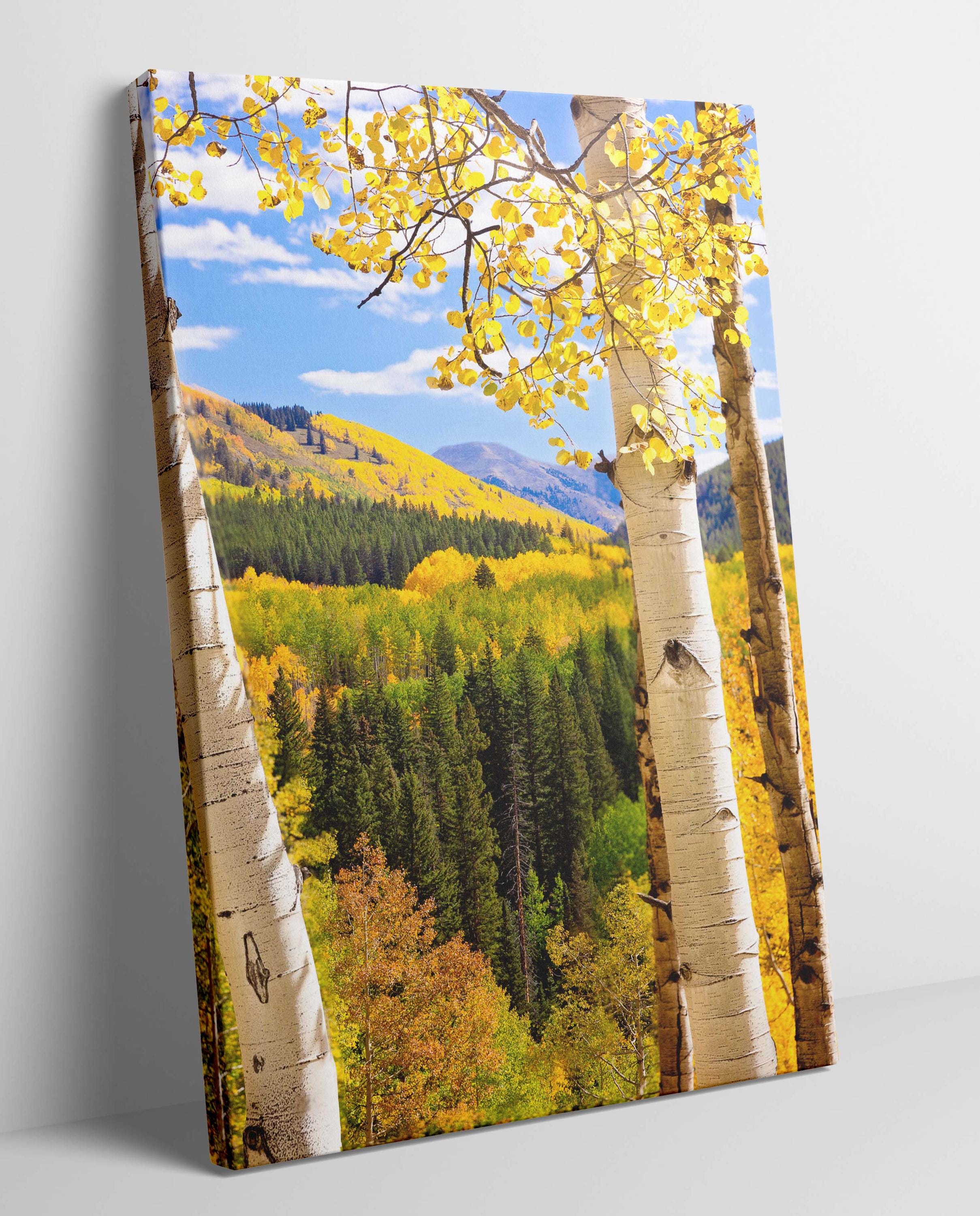 Colorado Autumn Aspen Trees Vertical Print: Rocky Mountains Landscape ...