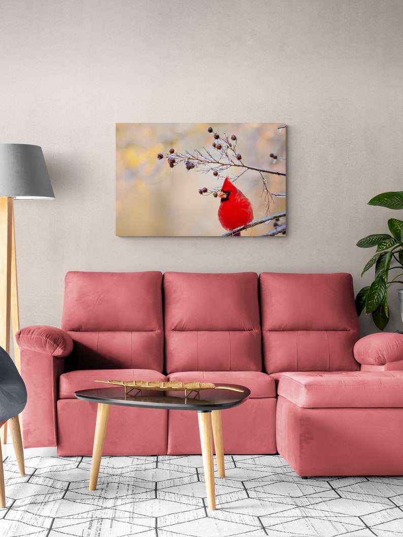 Red Cardinal Canvas Wall Art Prints Texas Birds Redbird - Etsy