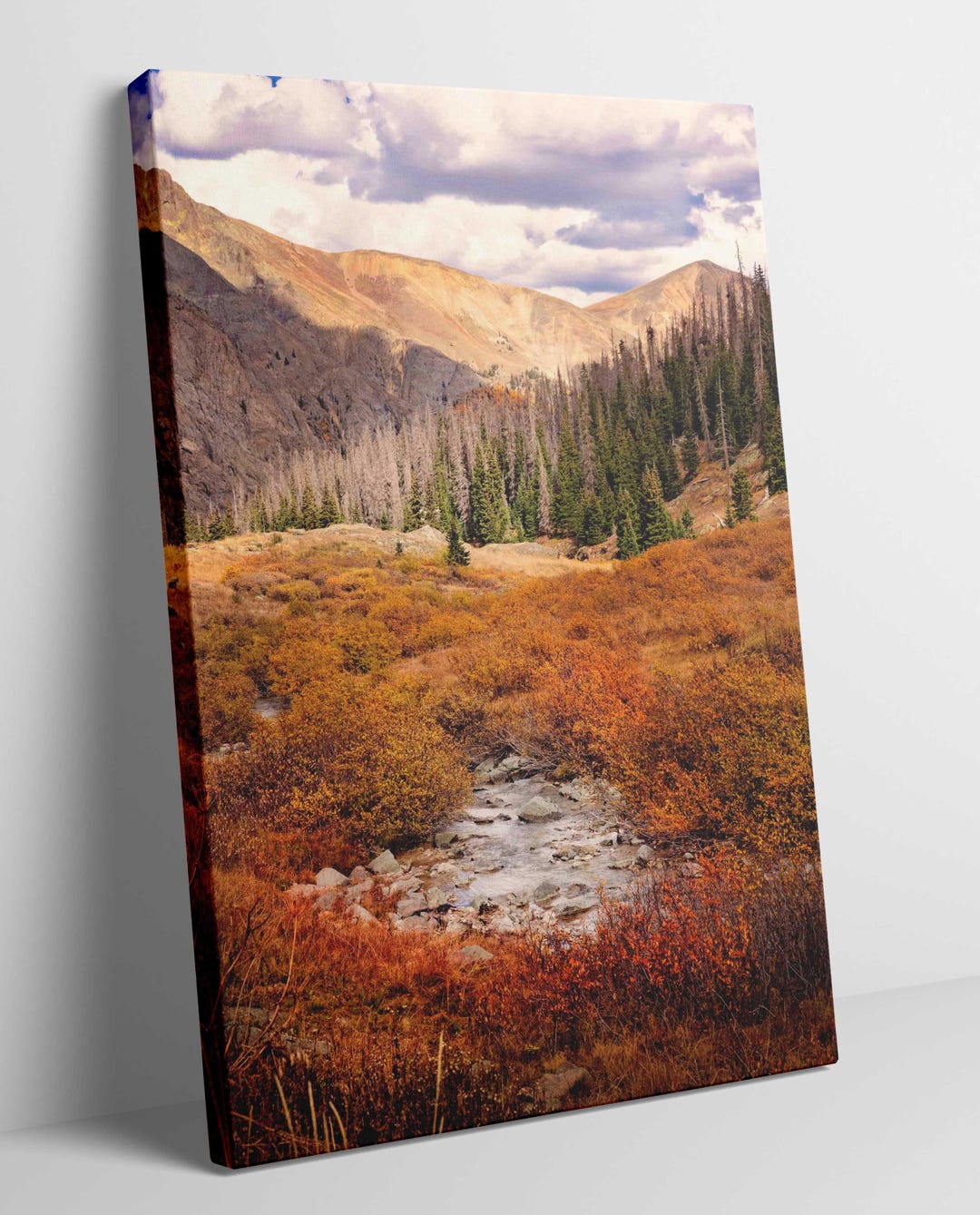 Vertical Colorado Alpine Loop Photo Canvas Print, Red Mountain Pass ...