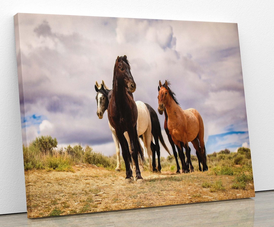 Wild Stallions Wall Art Print, Mustangs Photo, Horse Lover Gift, Cowboy ...