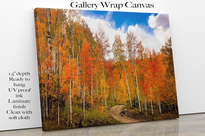 Red Aspen Trees Colorado Autumn Forest Print, Fall Colors Photo Canvas ...