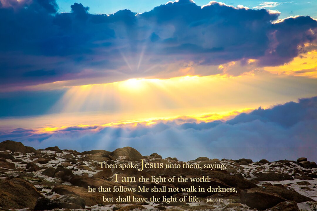 John 8-12 Scripture Wall Art, Christian Inspirational Canvas, I Am the ...
