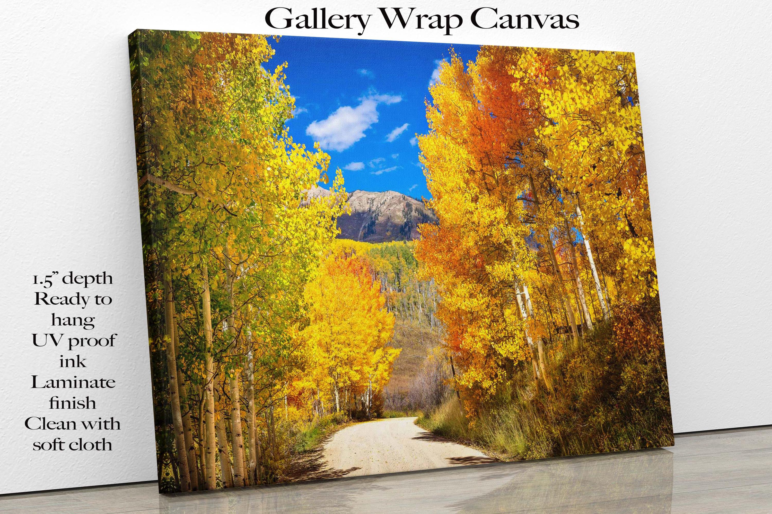 Colorado Autumn Aspen Trees Forest Print, Ohio Creek Pass Fall Colors ...