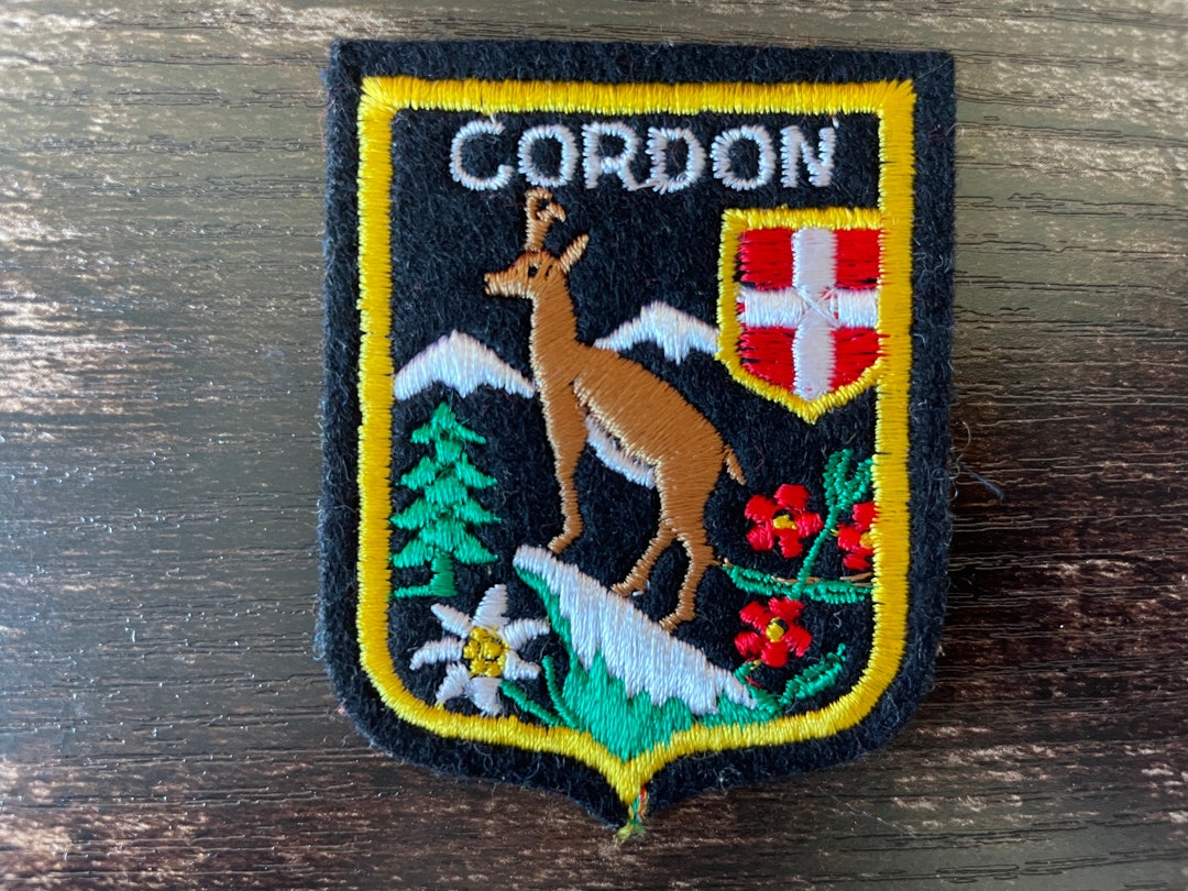 Vintage Patch Cordon FRANCE French Hautes Alpes Sew on Applique ...