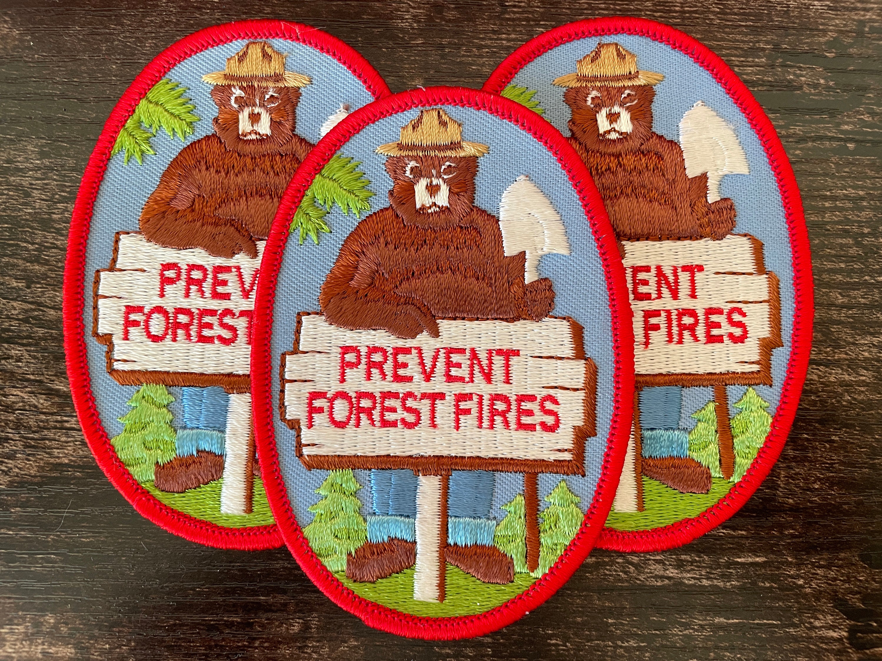 Prevent Forest Fires