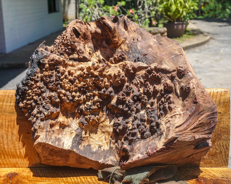 Gold Amboyna BURL LUMBER Wood Natural Slab Live Edge Epoxy Resin Table ...