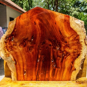 Golden Amboyna BURL LUMBER Live Edge Resin Epoxy DIY Natural Slab Wood ...