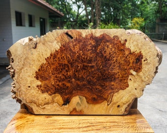 Amboyna Burl Wood Slab - Etsy