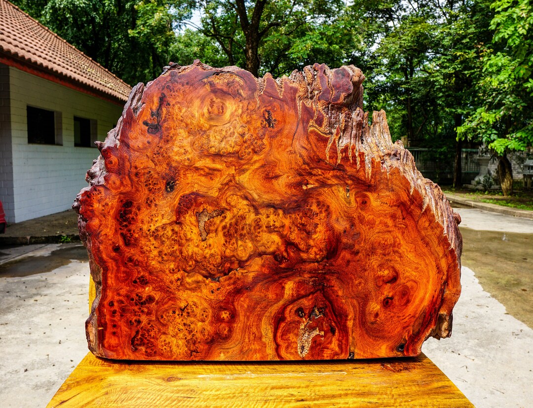 Golden Amboyna BURL LUMBER Live Edge Epoxy DIY Resin Natural - Etsy