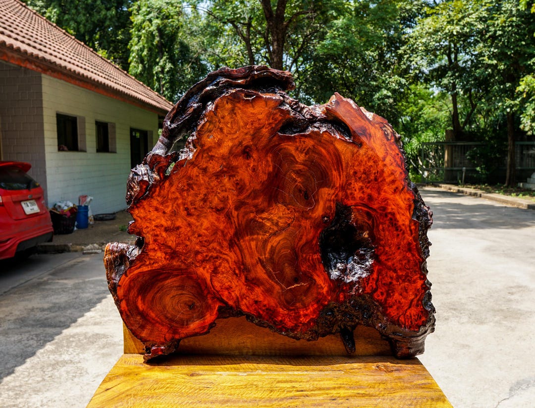 Rare Amboyna BURL LUMBER Live Edge Resin Epoxy DIY Natural Slab Wood ...