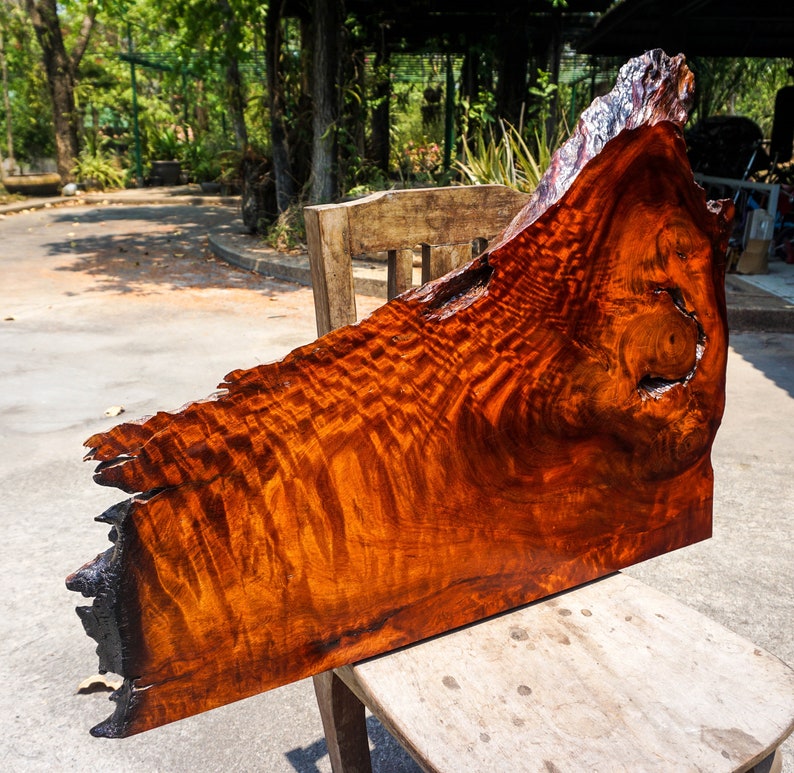 Rare!! Amboyna BURL LUMBER Wood Live Edge Natural Slab Resin Epoxy ...