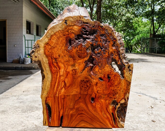 Rare!! Red Amboyna BURL LUMBER Live Edge DIY Epoxy Resin Natural Slab ...