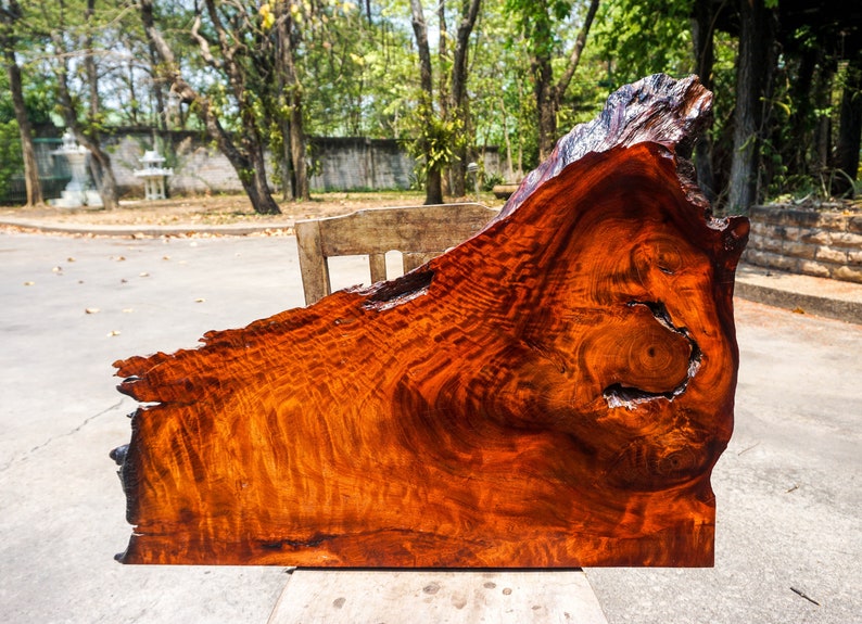 Rare!! Amboyna BURL LUMBER Wood Live Edge Natural Slab Resin Epoxy ...