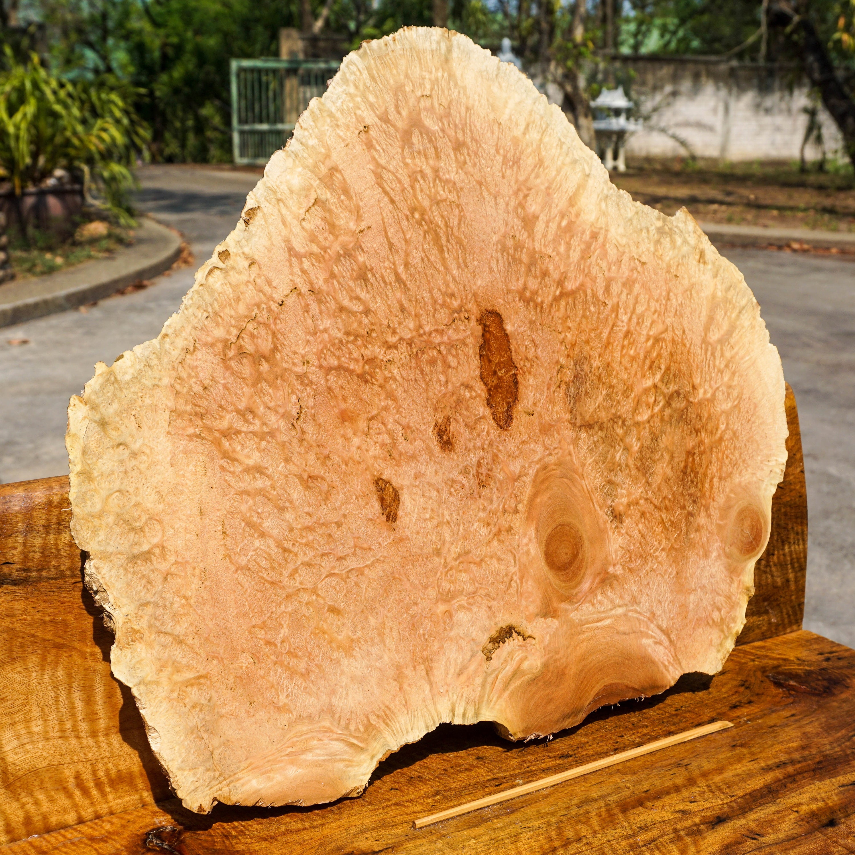 Rare Bungor BURL LUMBER Live Edge Natural Slab Wood Resin Epoxy Table ...