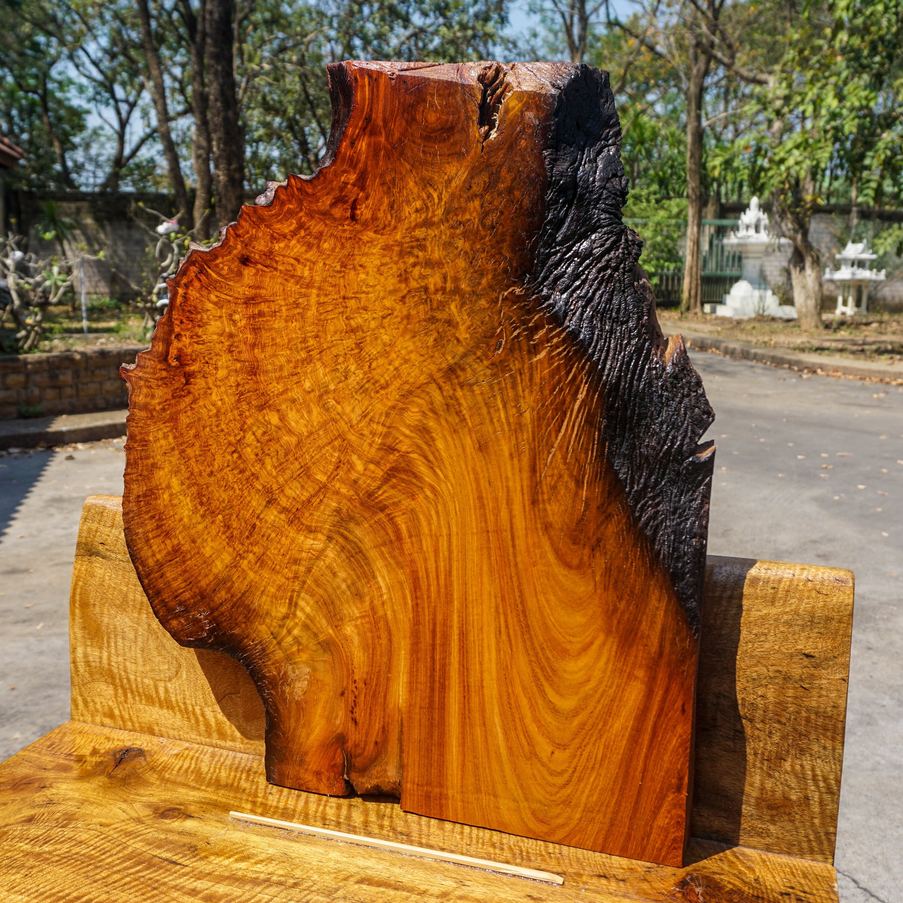 Gold Amboyna BURL LUMBER Live Edge Natural Slab Wood Resin - Etsy