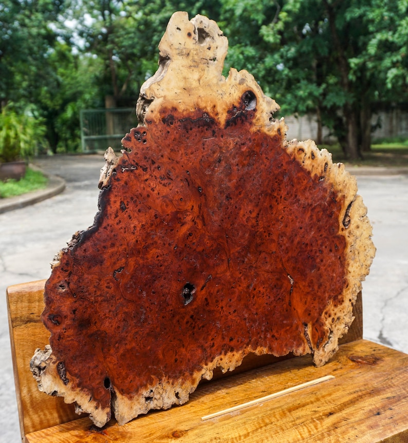 Rare Amboyna BURL LUMBER Live Edge Natural Slab Wood Resin Table Top ...