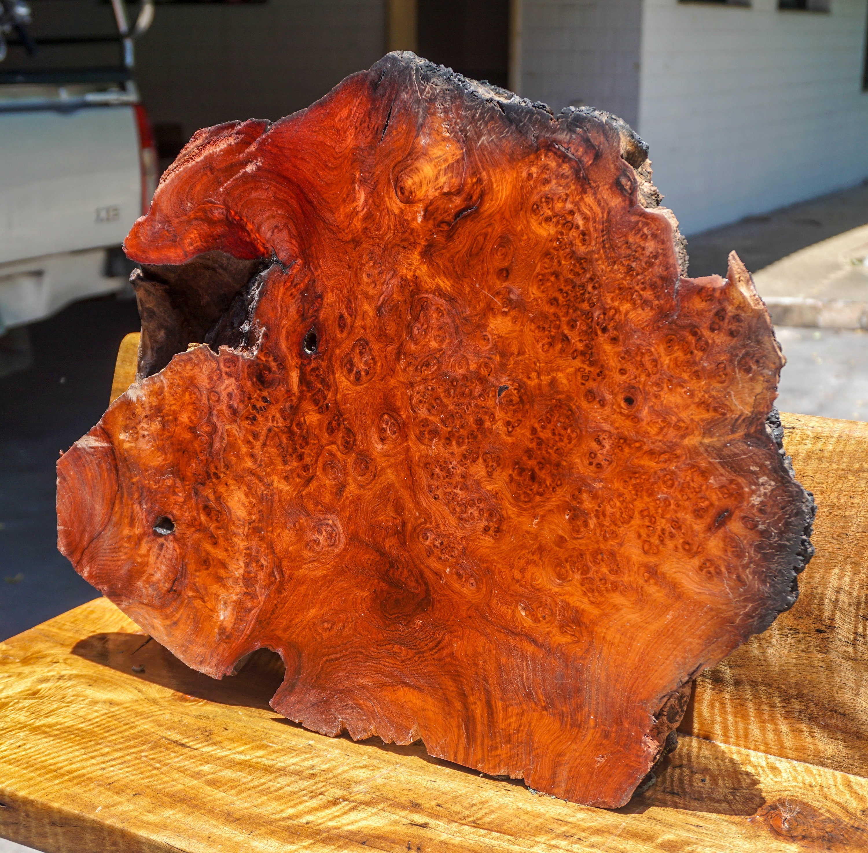 Gold Amboyna BURL LUMBER Wood Natural Slab Live Edge Epoxy Resin Table ...