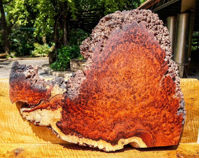 Red Amboyna BURL LUMBER Live Edge Epoxy Resin Natural Slab Wood DIY ...