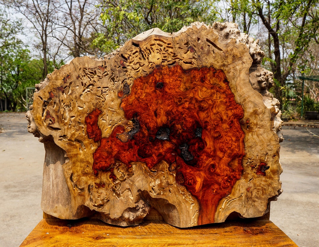 Rare Red Amboyna BURL LUMBER Live Edge DIY Epoxy Resin Natural Slab ...