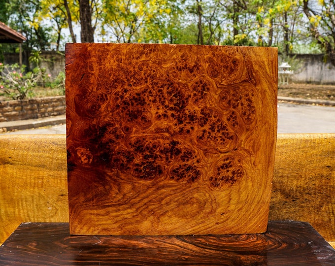 Gold Amboyna BURL LUMBER Live Edge Natural Slab Wood Epoxy DIY Resin ...