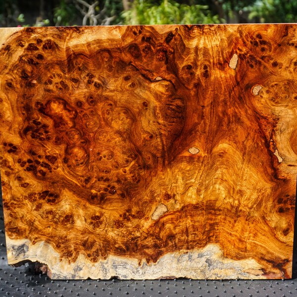 Amboyna Burl Wood - Etsy