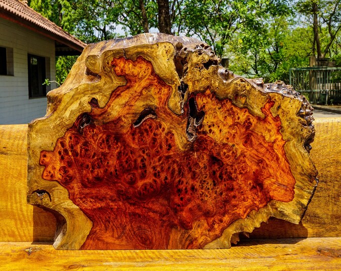 Rare!! Red Amboyna BURL LUMBER Live Edge DIY Epoxy Resin Natural Slab ...